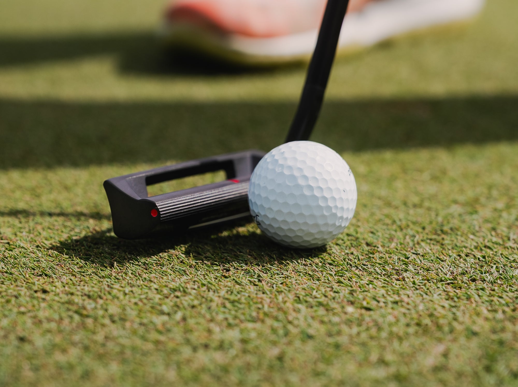 Spoiler Golf | Experience the Purest Roll in Golf